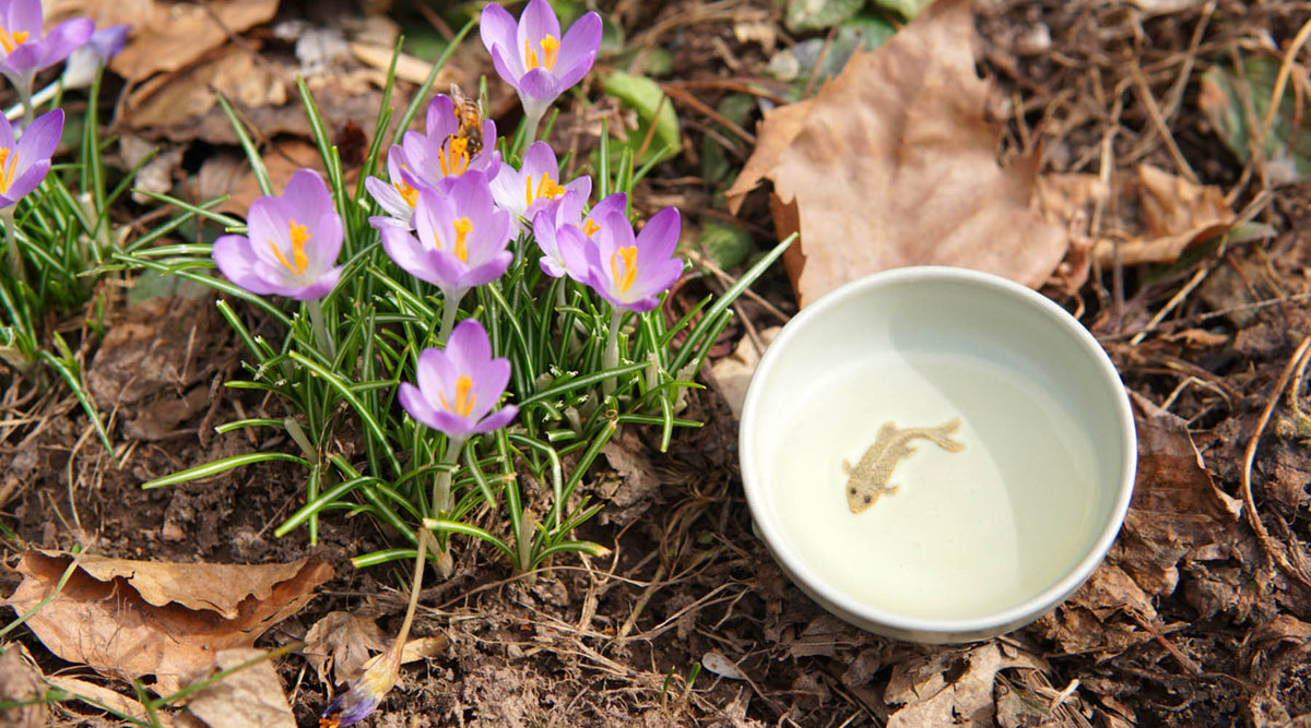 Spring Teas 2021 Are Rolling In! — Happy Earth Tea