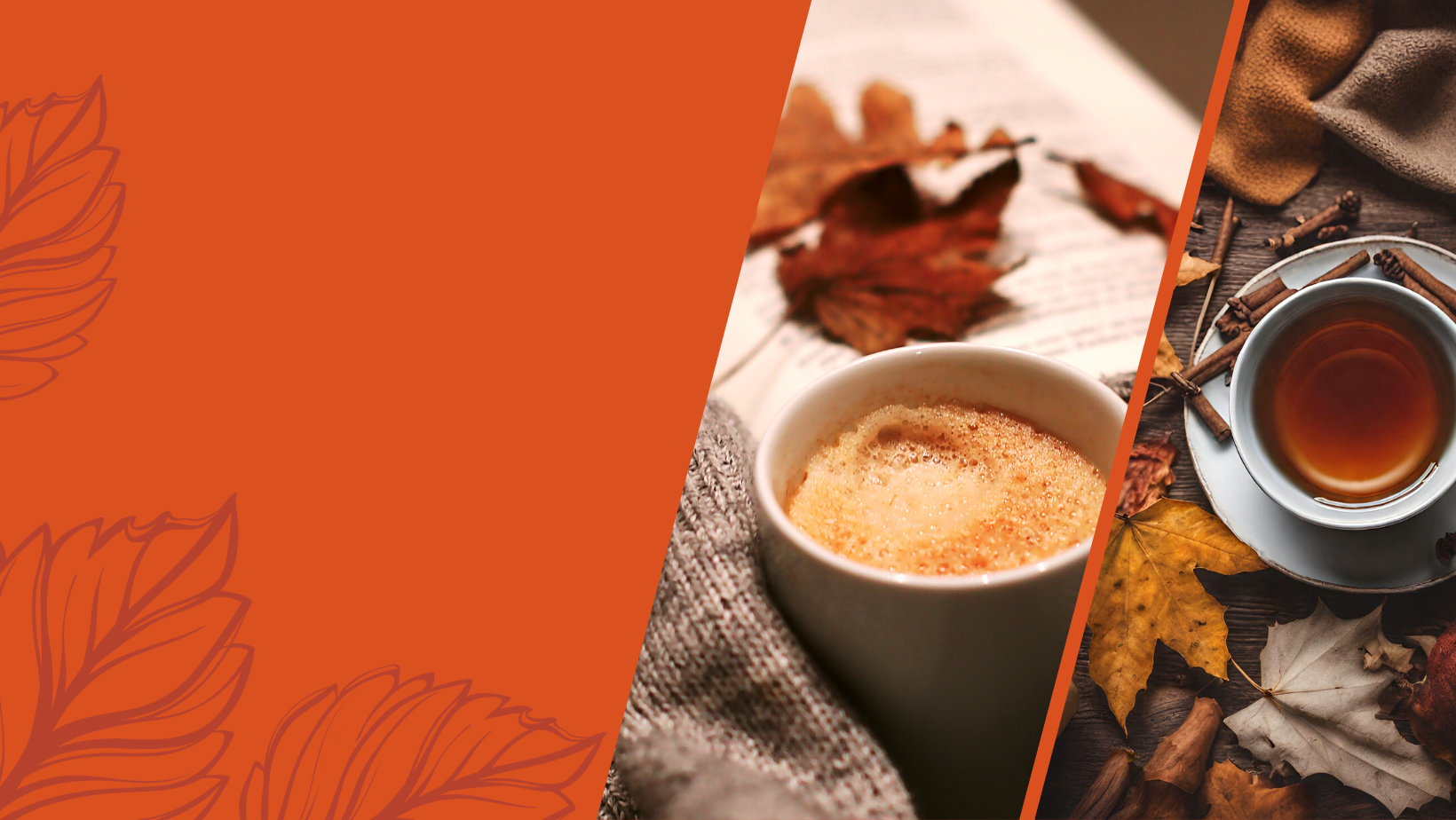 Buy Darjeeling Tea, Green Tea & More | Happy Earth Tea